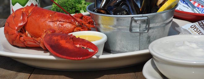 The Triumphant Tail of the New England Lobster